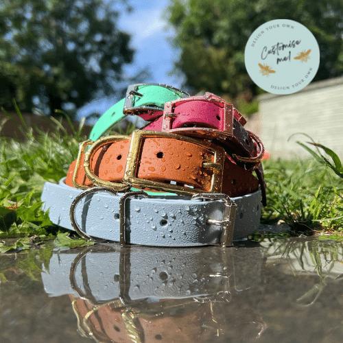 Simple Classic Biothane Dog Collars – Liv Like Busby